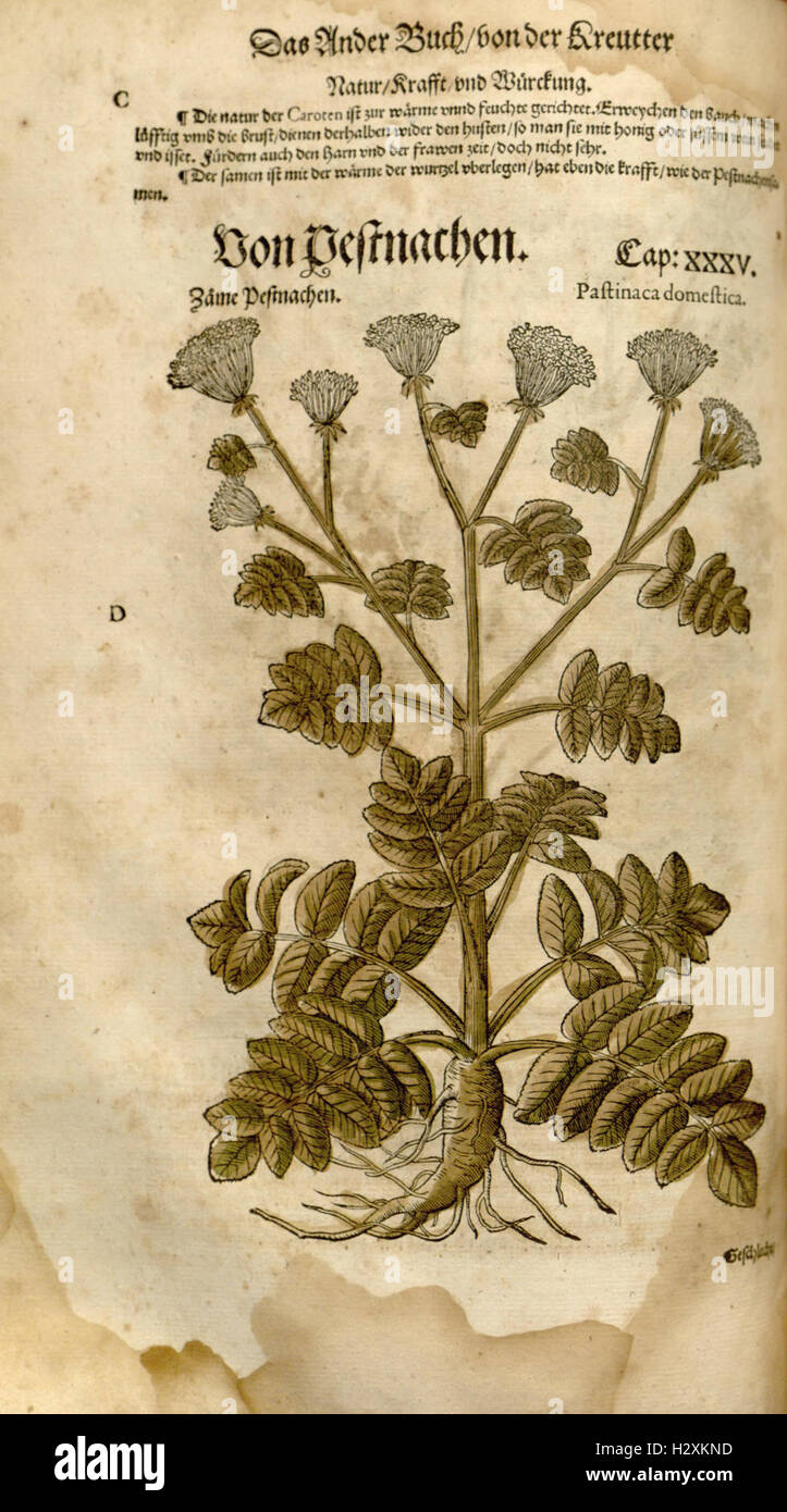 This work details the classification and characteristics of various ...