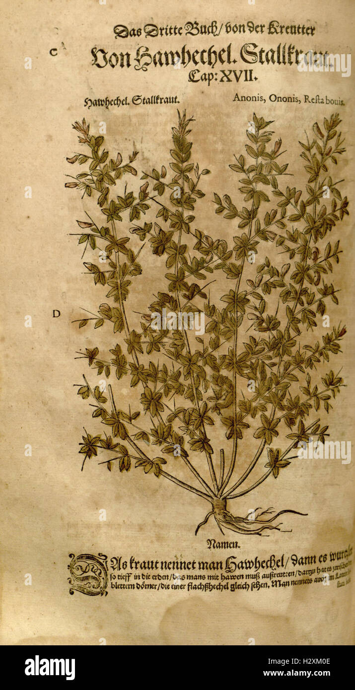 A botanical reference work focused on the identification and ...