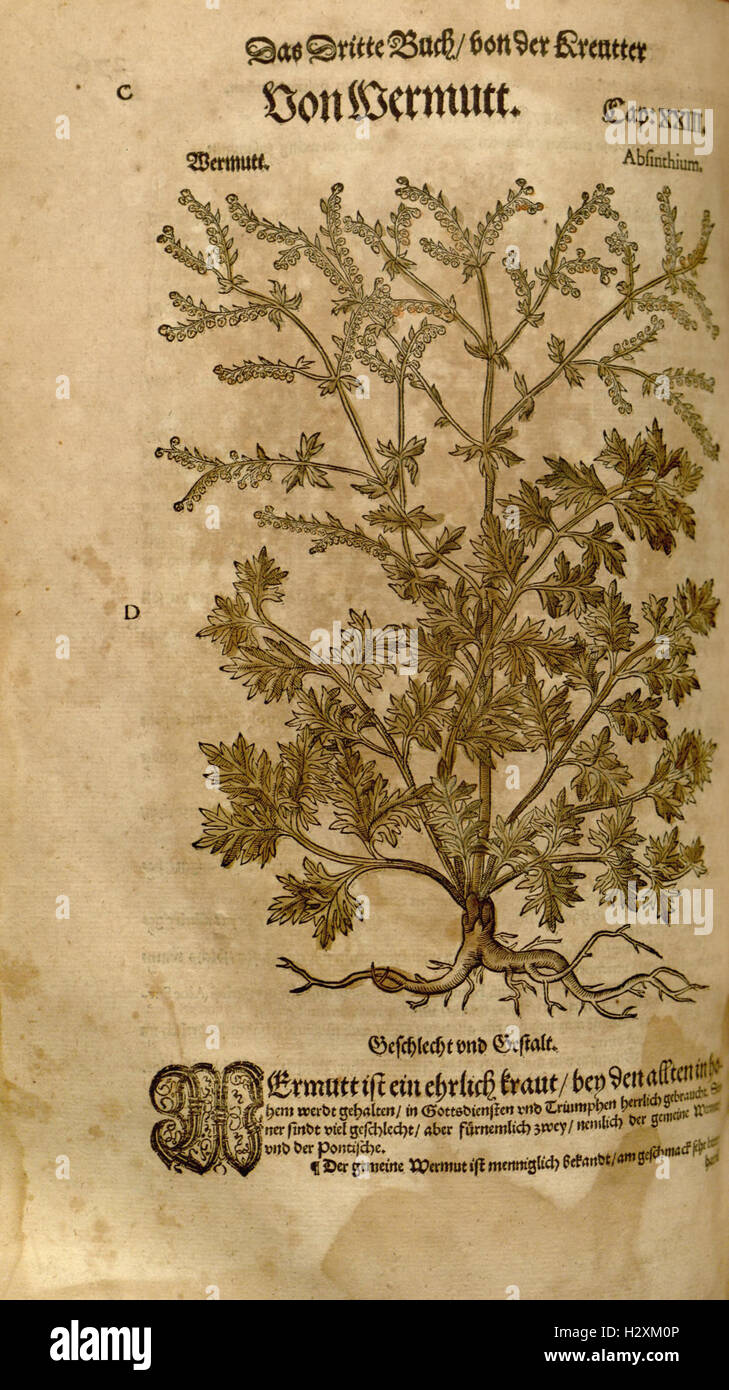 An updated version of a botanical reference book, featuring newly ...