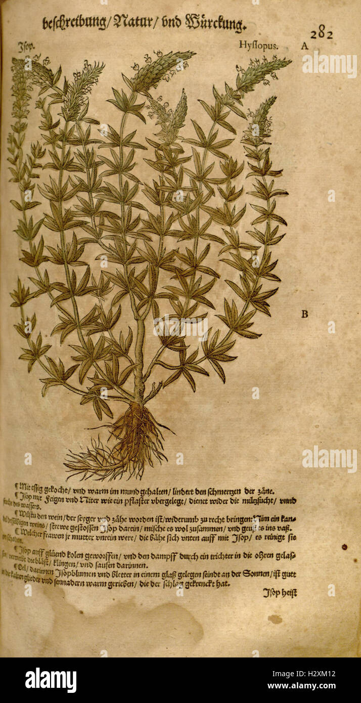 This volume focuses on an updated dictionary of scientific terms ...