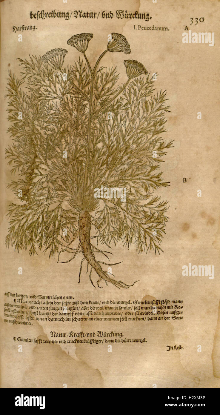 This botanical work provides a new catalog of plants, offering detailed ...
