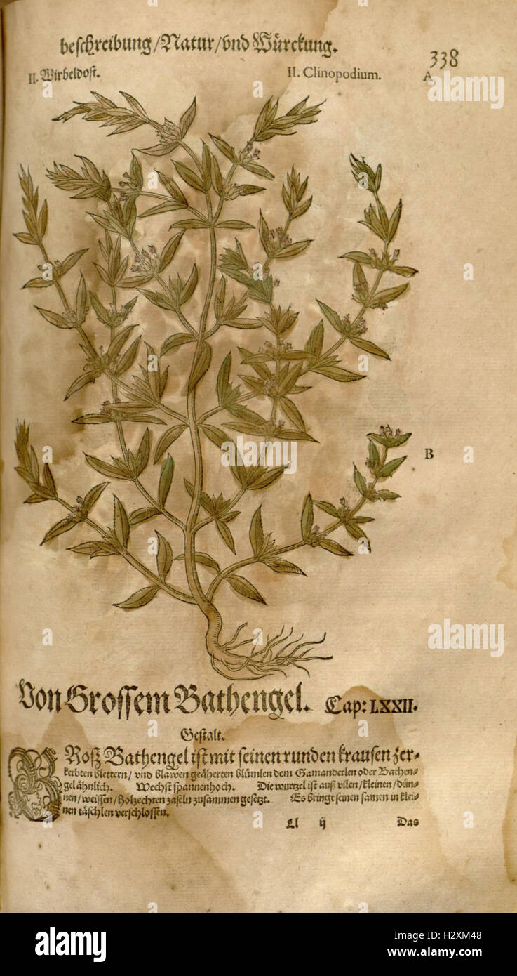 This volume is a detailed dictionary of scientific terminology used in ...