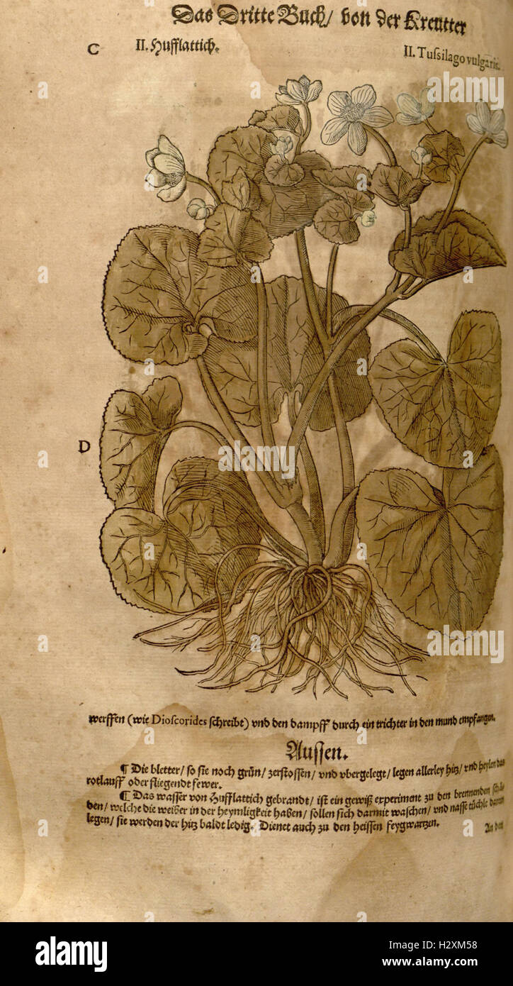 This herbal book focuses on new plants and their uses, providing a ...