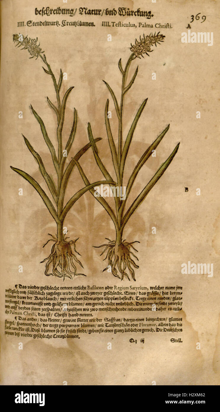 A reference book providing updated classifications, features, and ...