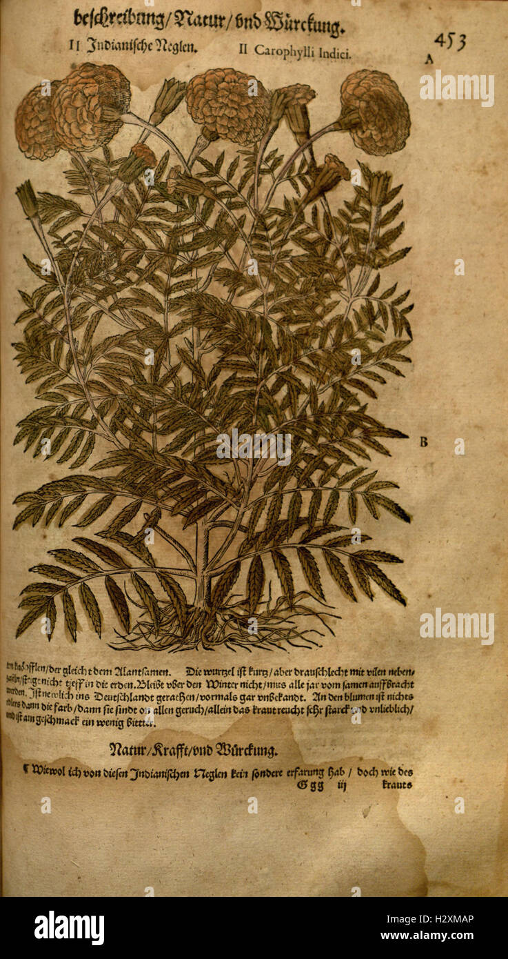 This updated herbal reference book provides new insights into the ...