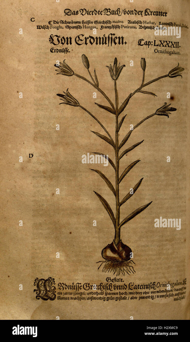 A scholarly work on the subject of plant taxonomy and botany. This text ...
