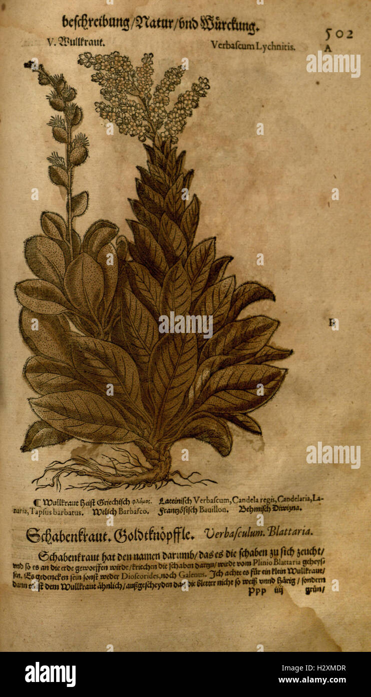 This book presents a catalog of new species of marine invertebrates ...