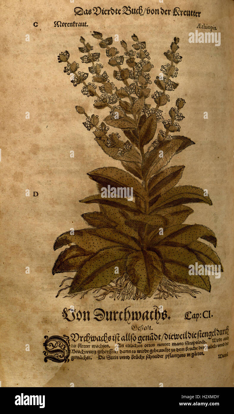 A botanical text detailing the properties and uses of various plants ...