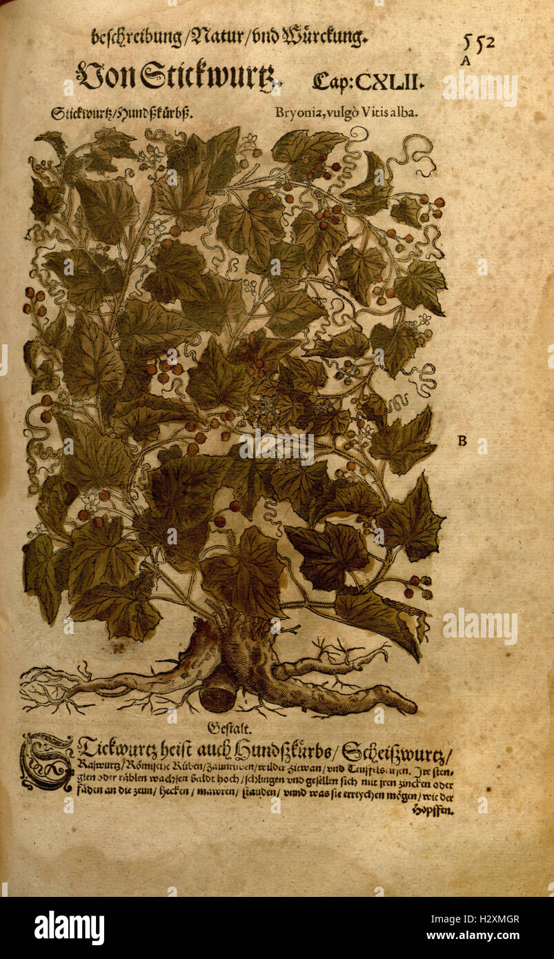 A botanical reference work focused on the identification and ...