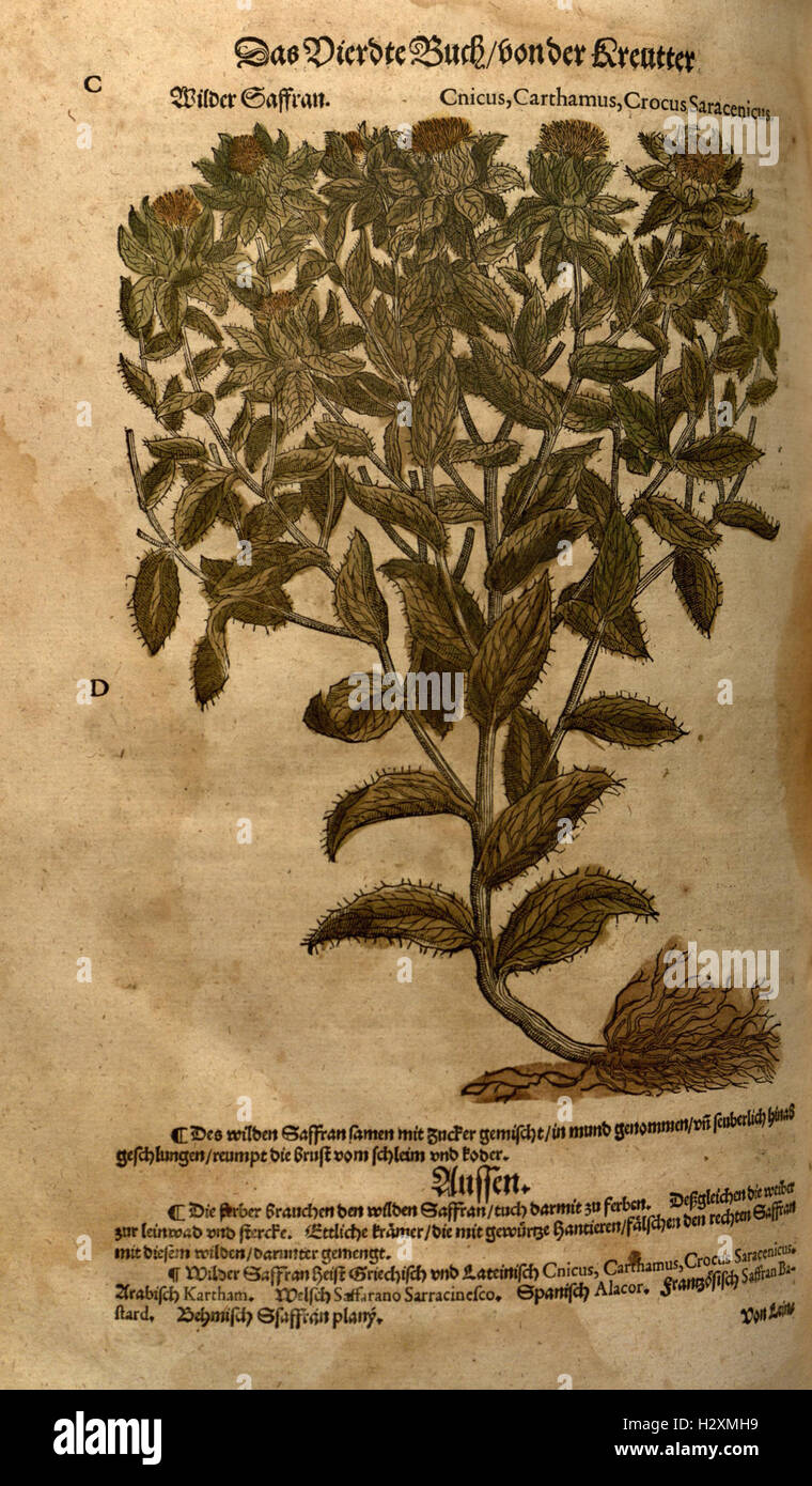 A detailed historical and botanical record, focusing on plant species ...