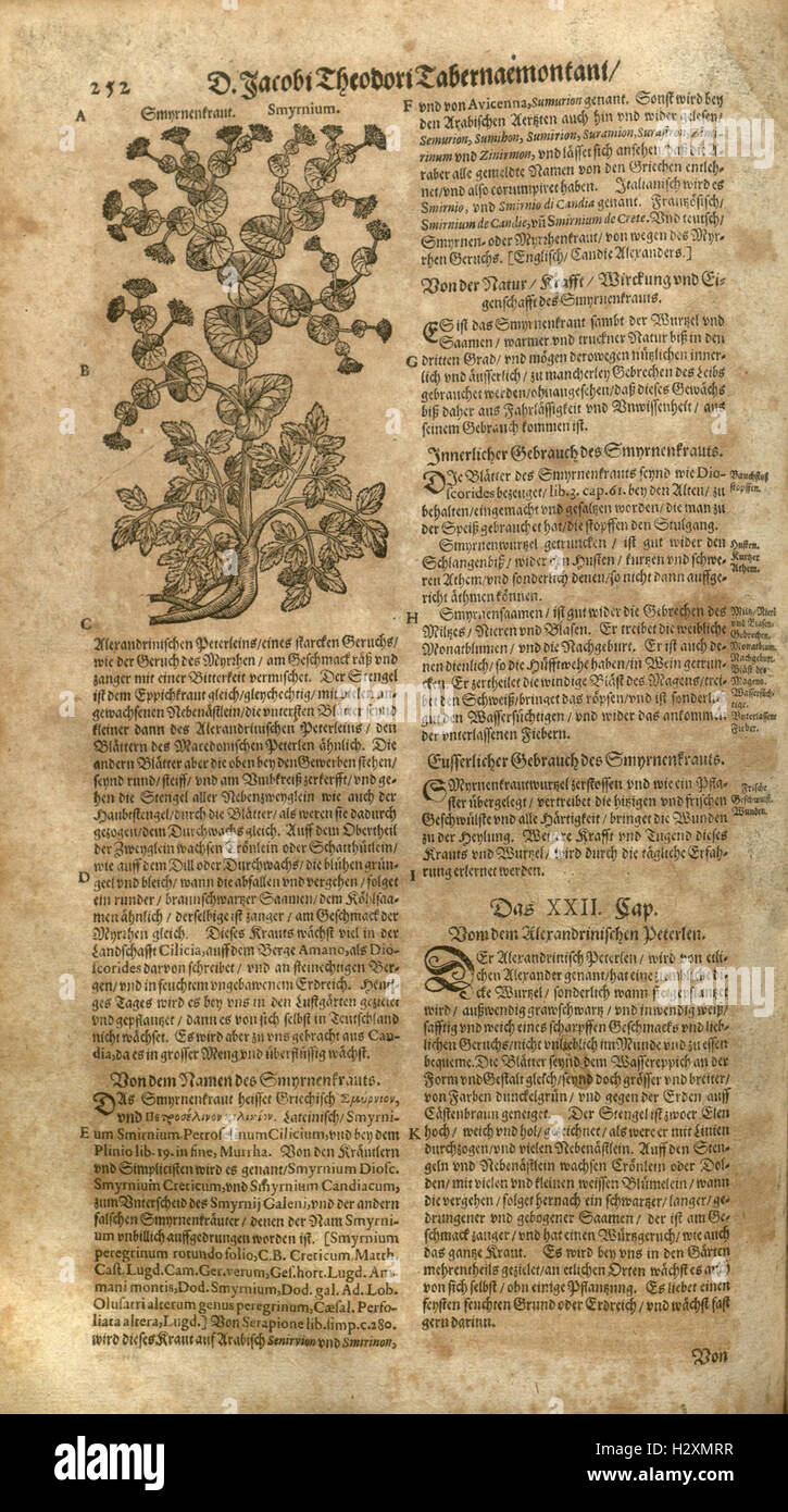 This herbal book provides detailed descriptions of medicinal herbs and ...