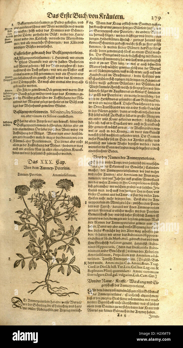 This page from the 'New vollkommenlich Kr„uter-Buch' presents botanical information on herbs ...
