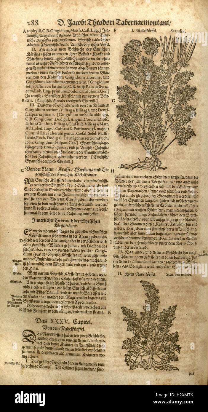 This book offers a detailed guide to herbs, focusing on their medicinal ...