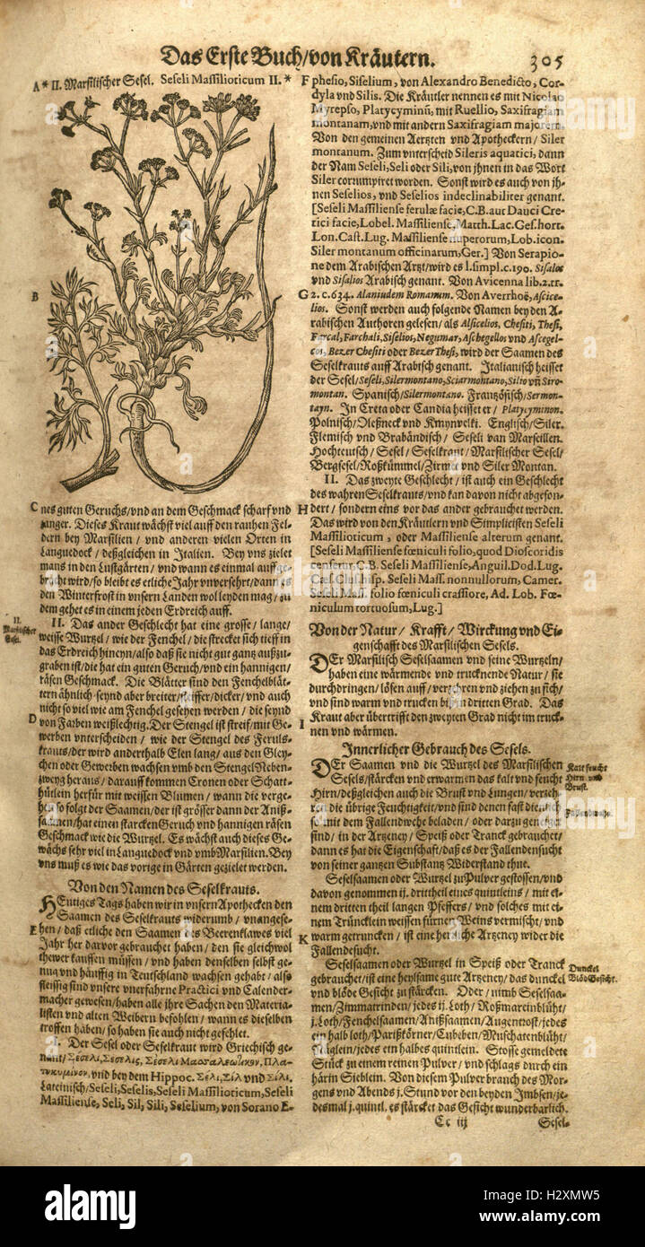 This herbal book offers detailed descriptions and uses of various herbs ...