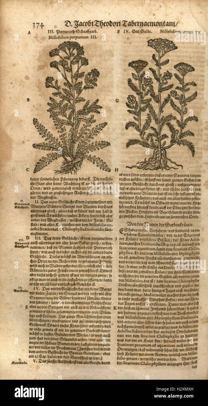 A comprehensive herbal book detailing the properties, uses, and ...