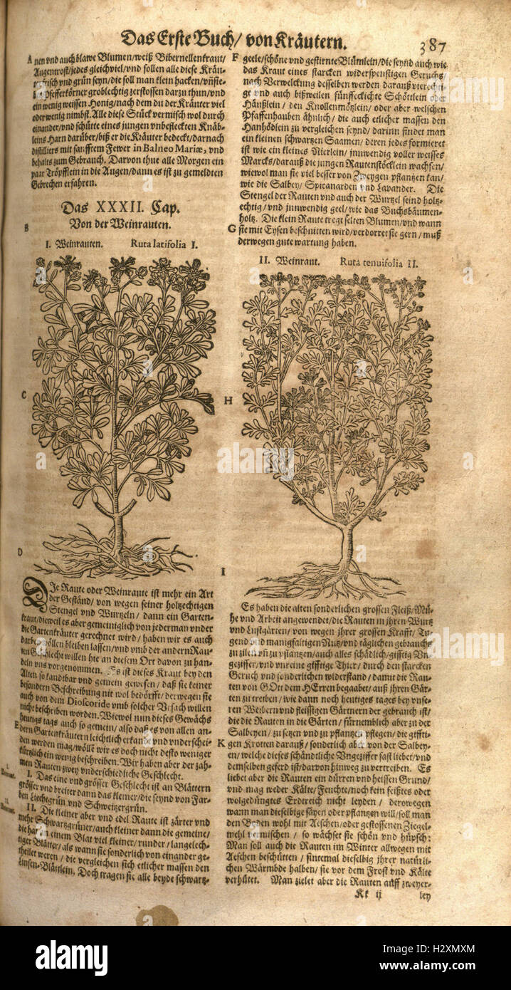 The book contains detailed descriptions of herbs, focusing on their ...