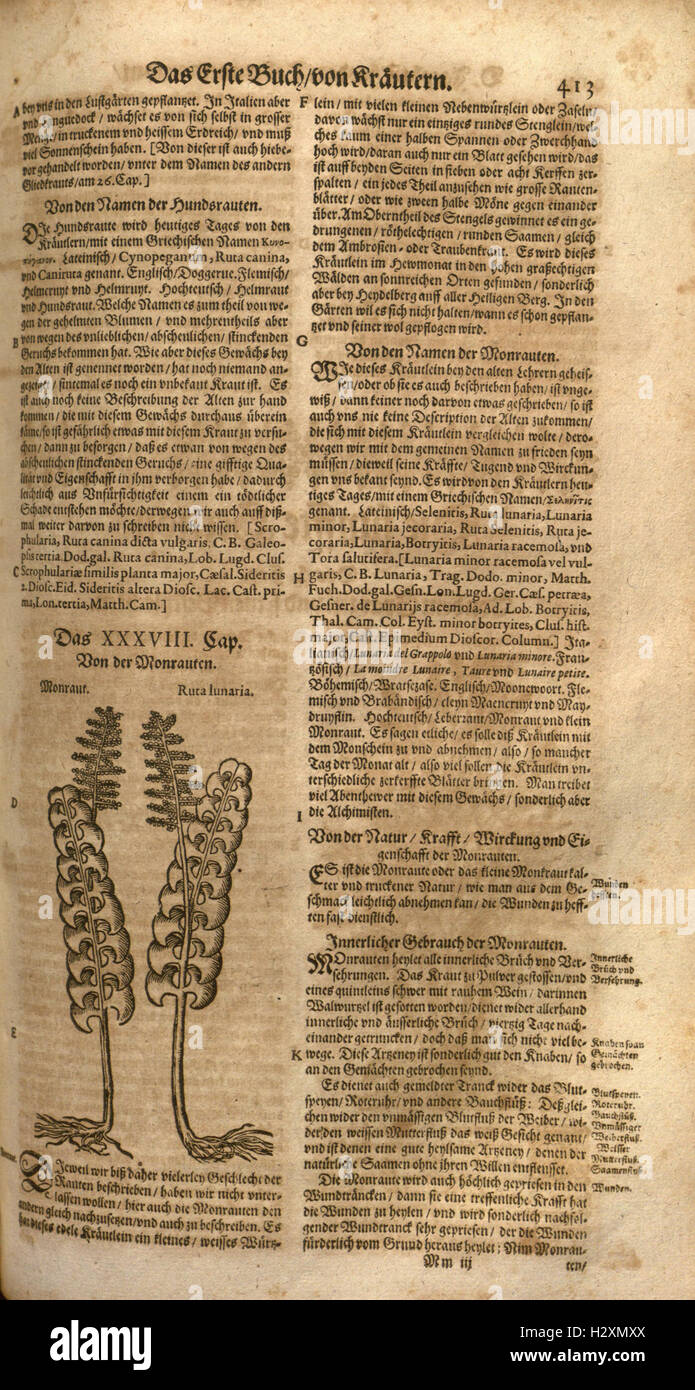 This German botanical book presents comprehensive descriptions of ...