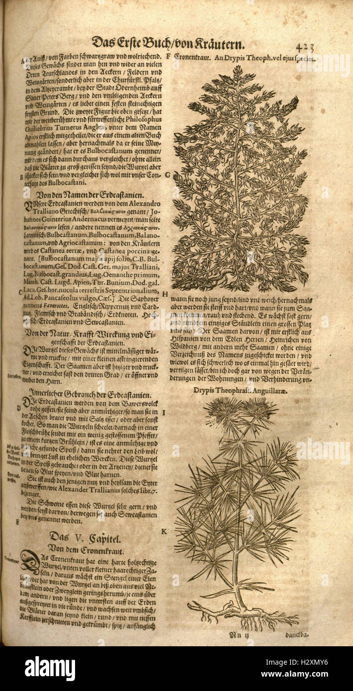 This herbal book offers a detailed account of medicinal plants ...