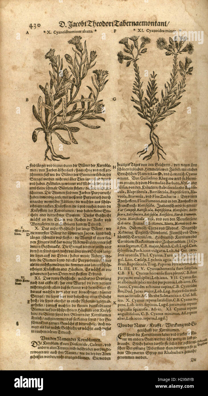 Page 430 of this herbal book offers a detailed description of new herb ...