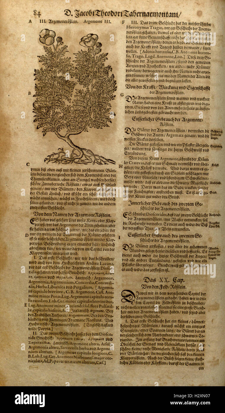 A comprehensive herb book detailing the identification, use, and ...