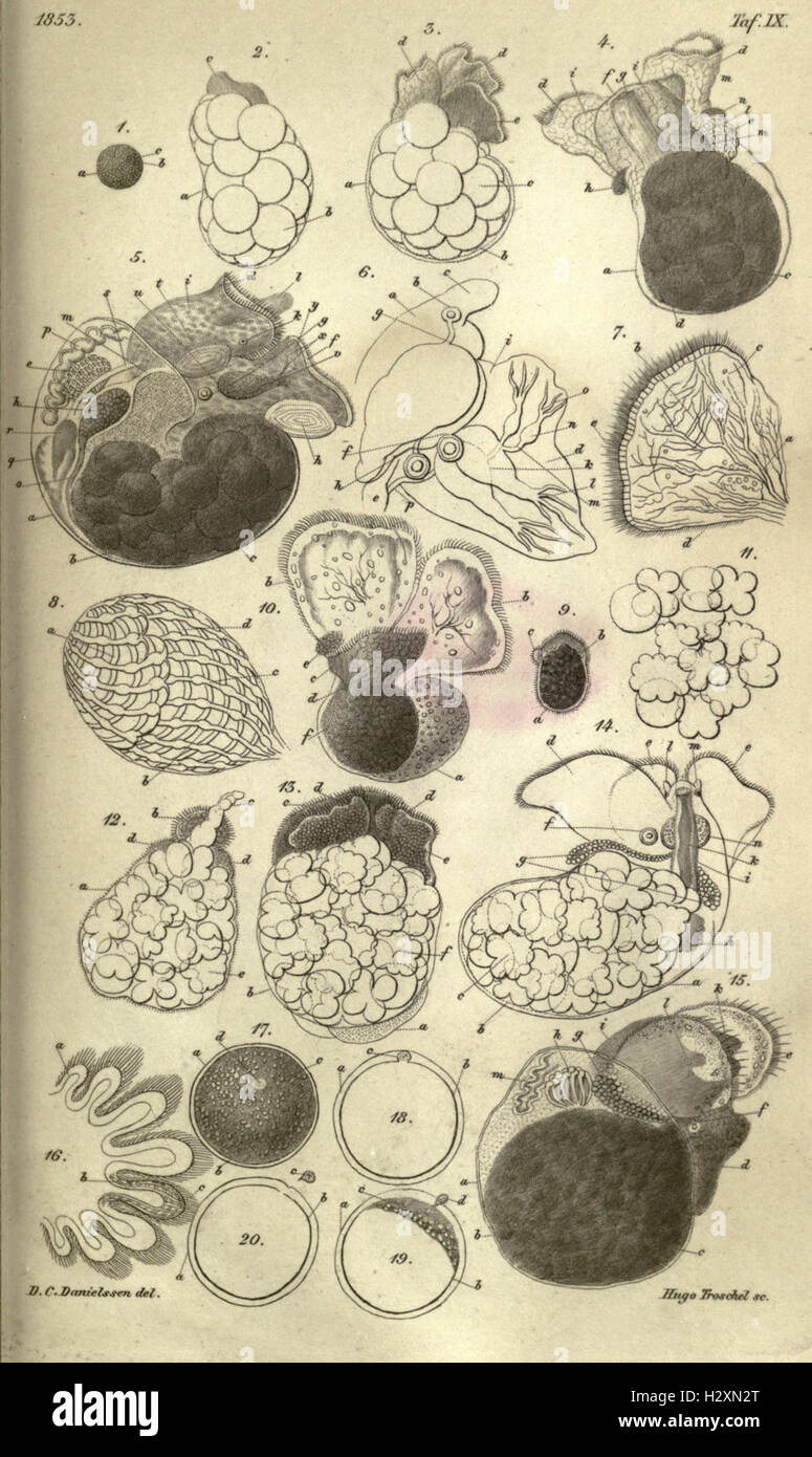 Archive for Natural History, documenting various scientific findings ...