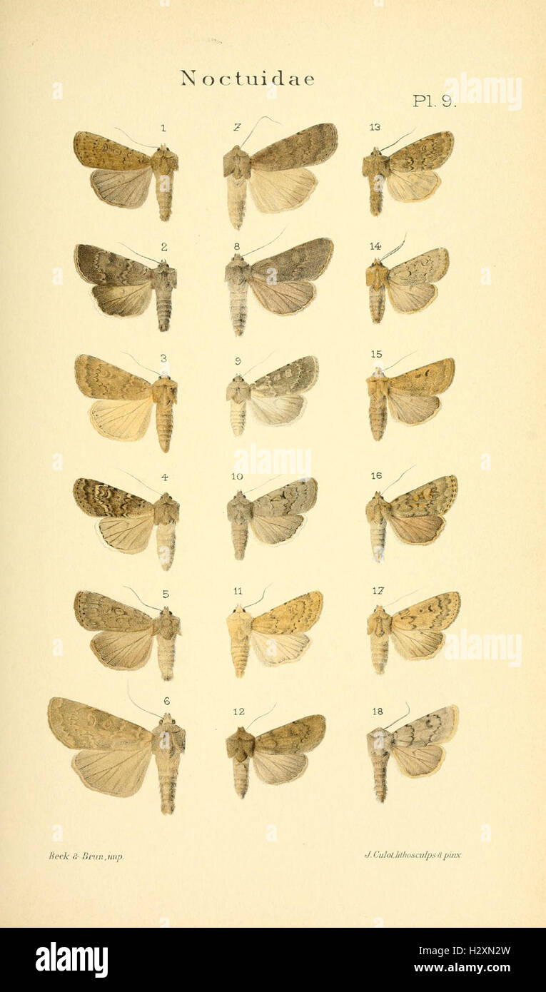 This work covers the identification and study of European moths and ...