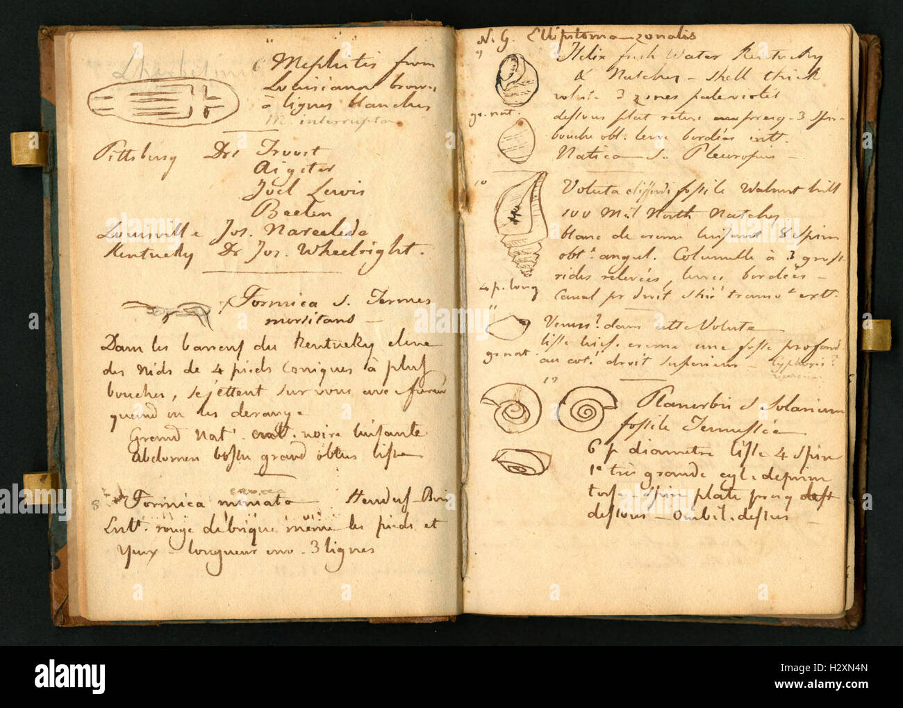 A personal notebook kept by Rafinesque during his 1818 trip from ...
