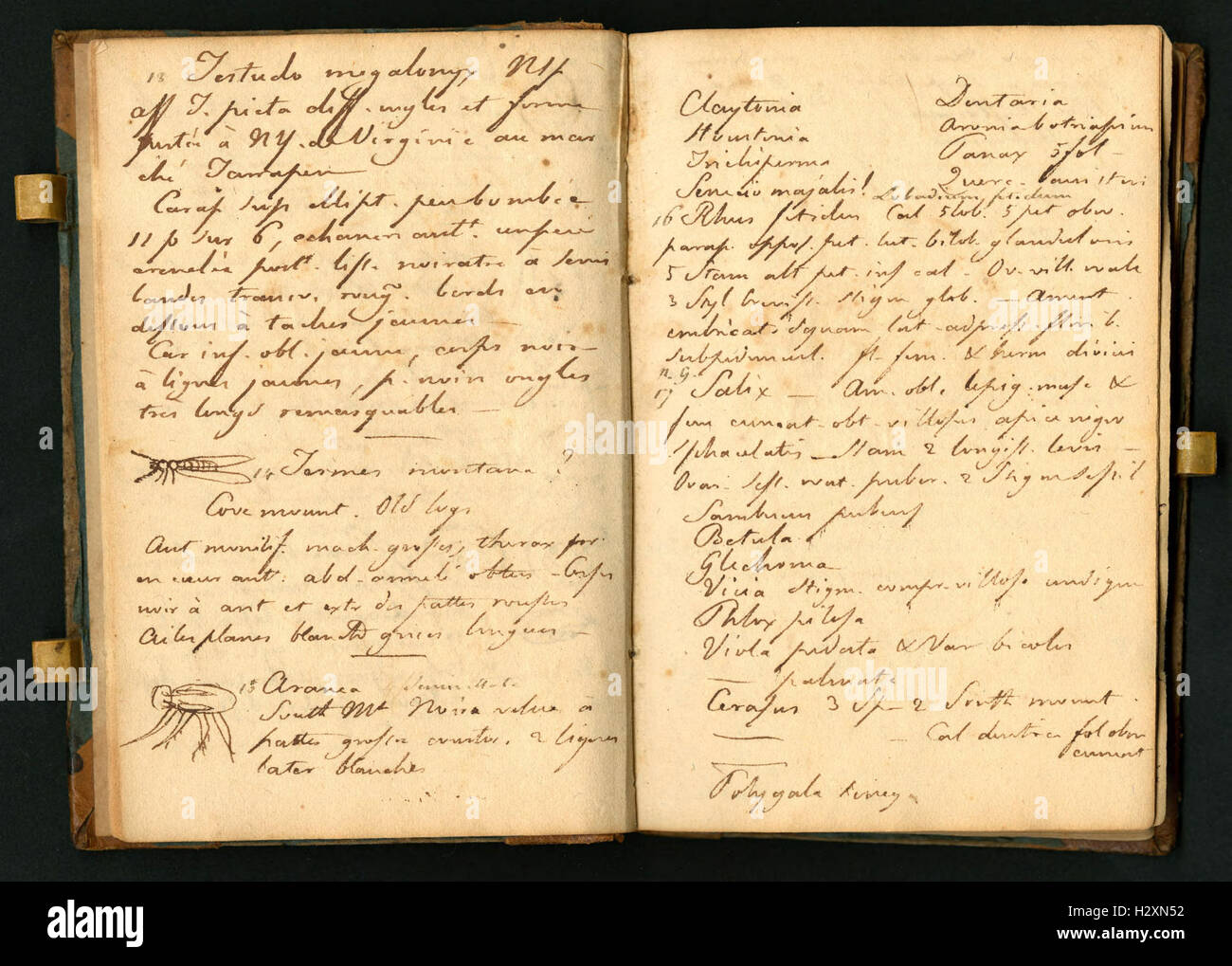 This notebook by Rafinesque documents his observations and findings ...