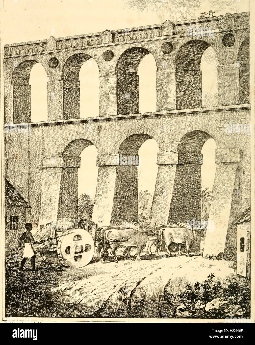 This work presents observations and reports on Brazil during the years ...