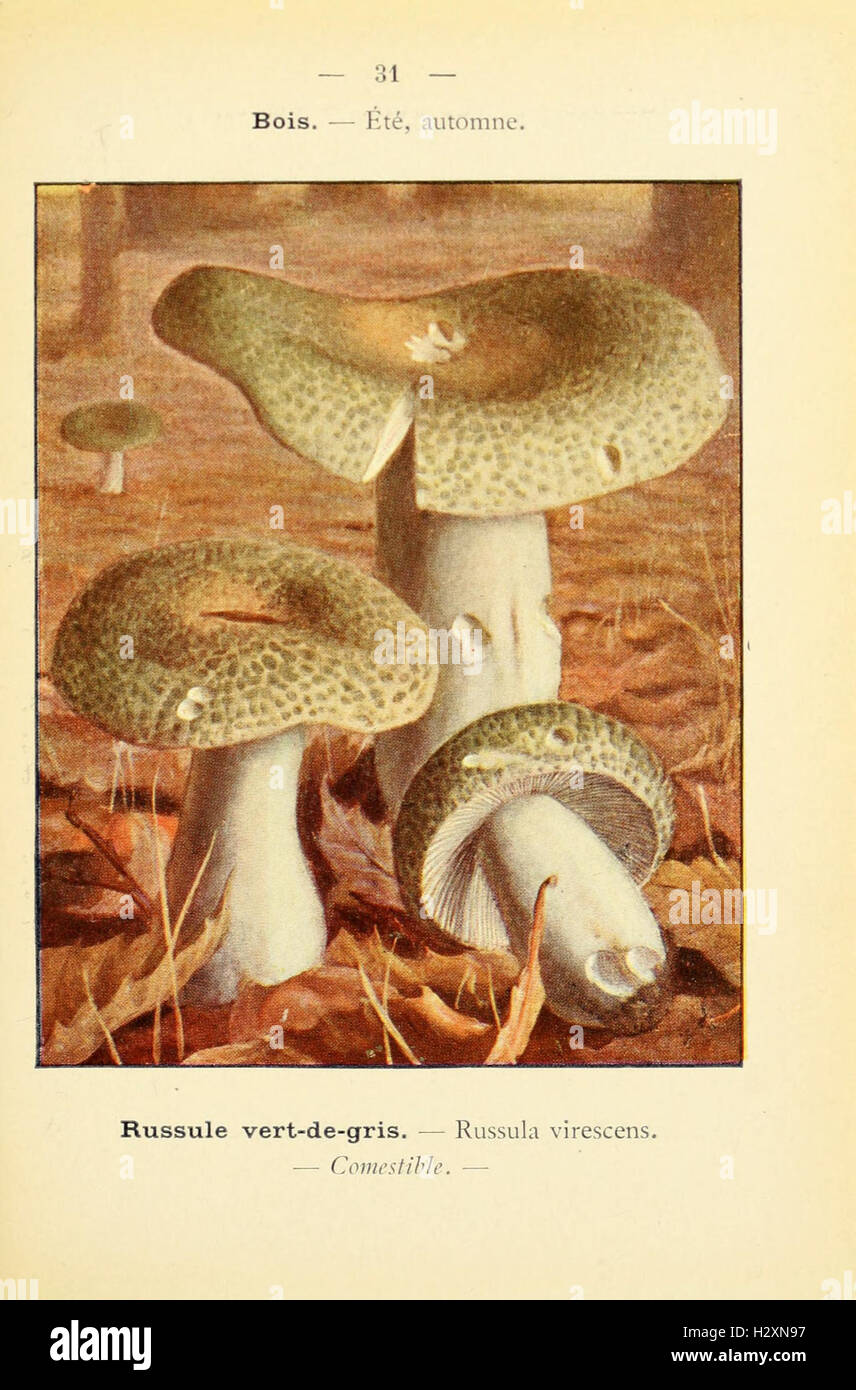 This pocket atlas provides detailed illustrations and descriptions of ...