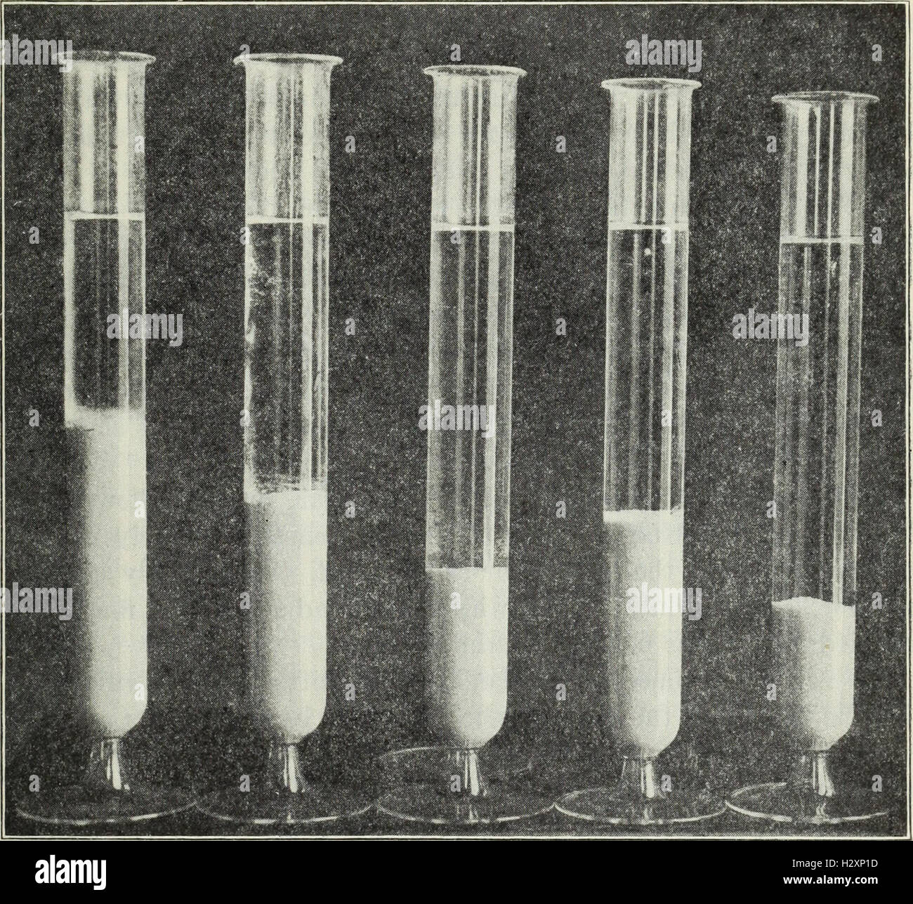 Oidium hi-res stock photography and images - Alamy