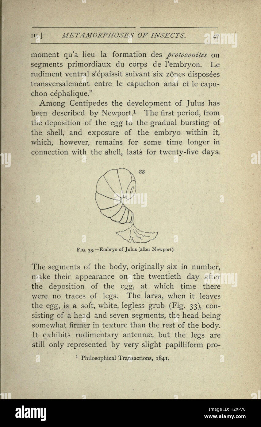 This work examines the life cycle and metamorphosis of insects ...