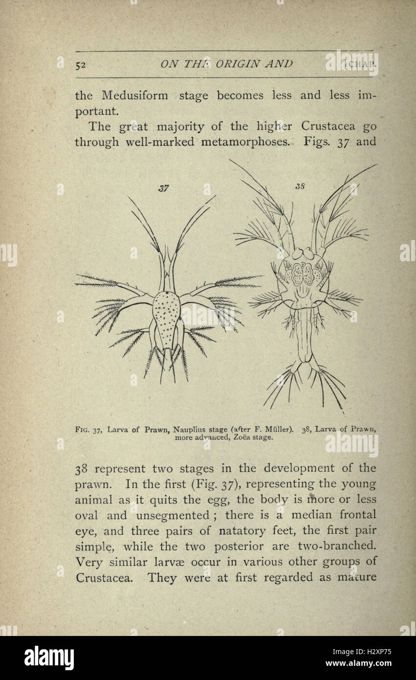 This page from the work examines the origin and metamorphoses of ...