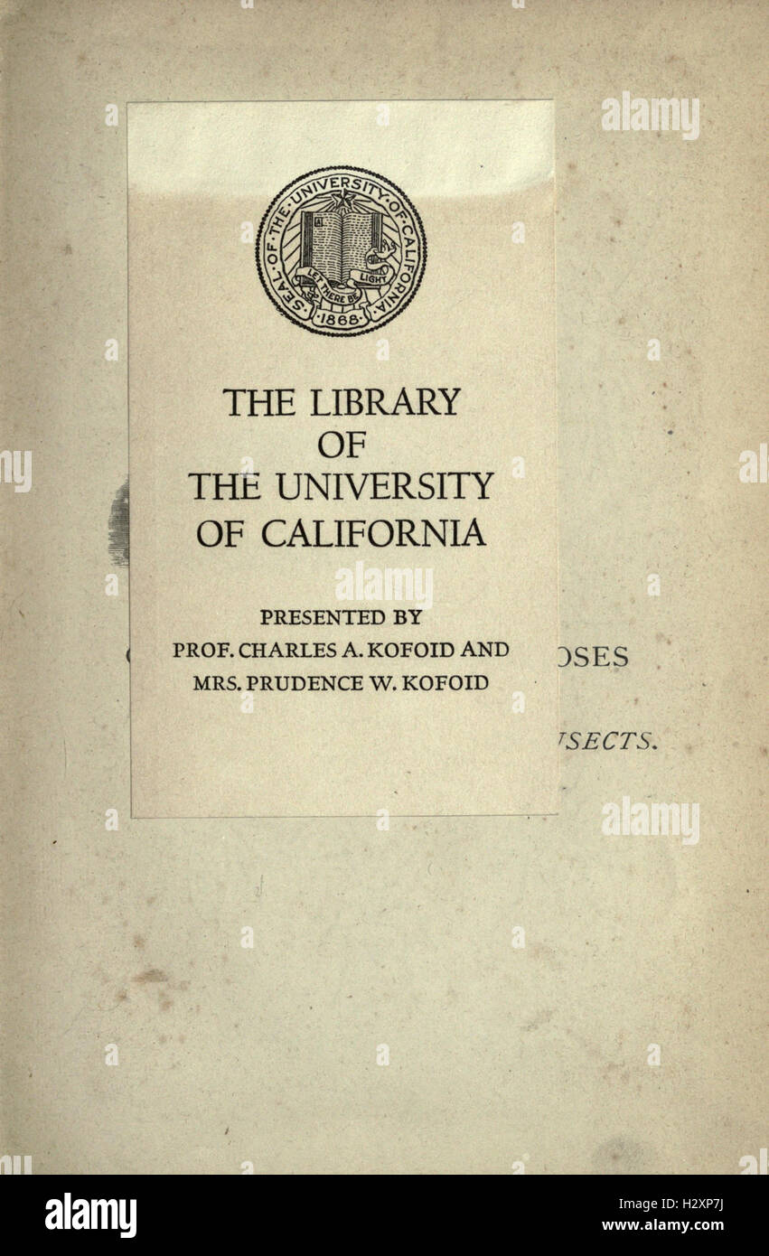 This work discusses the life cycle and transformation processes of ...