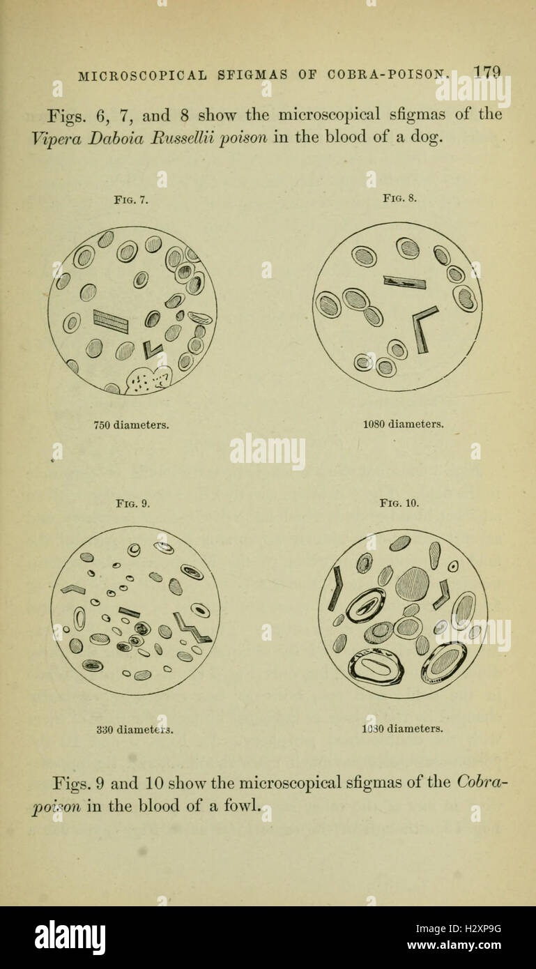 This work offers a detailed classification of ophidian species ...