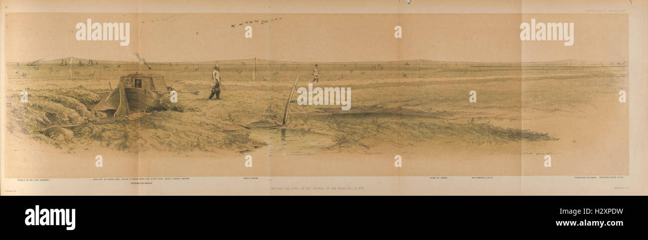 This collection features various ornithological studies, focusing on ...