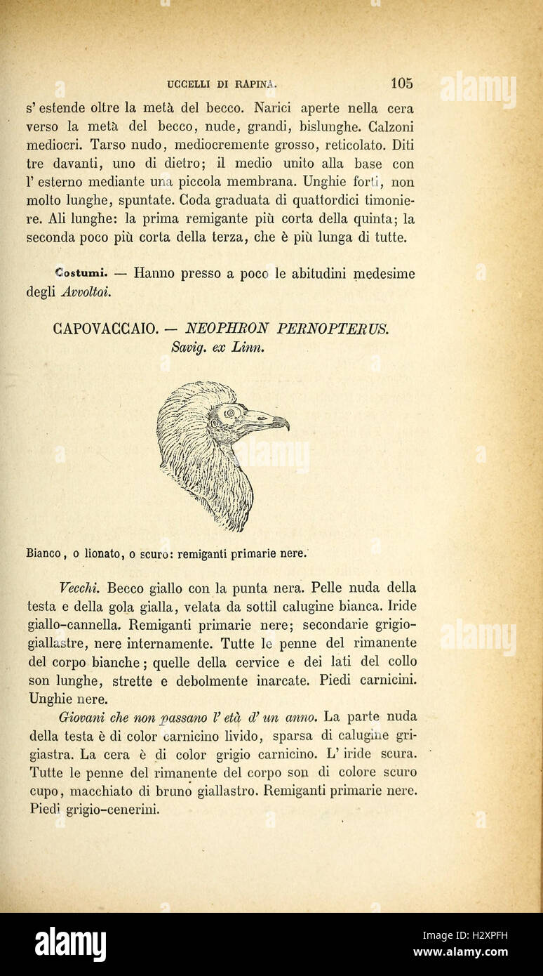 An Italian ornithology study, focusing on bird species native to Italy ...