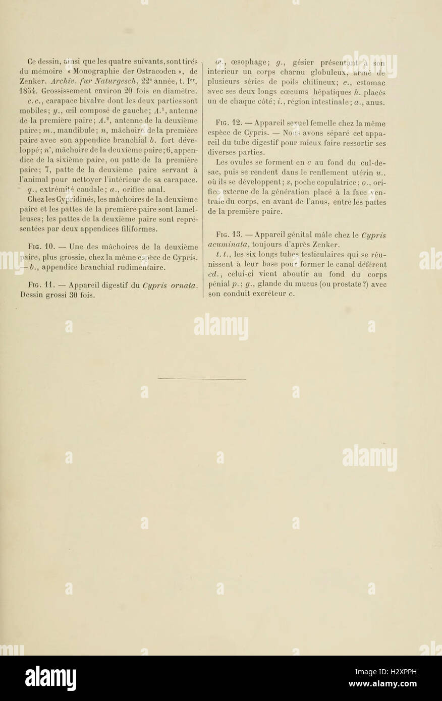A comparative anatomy atlas describing the structures of invertebrates ...