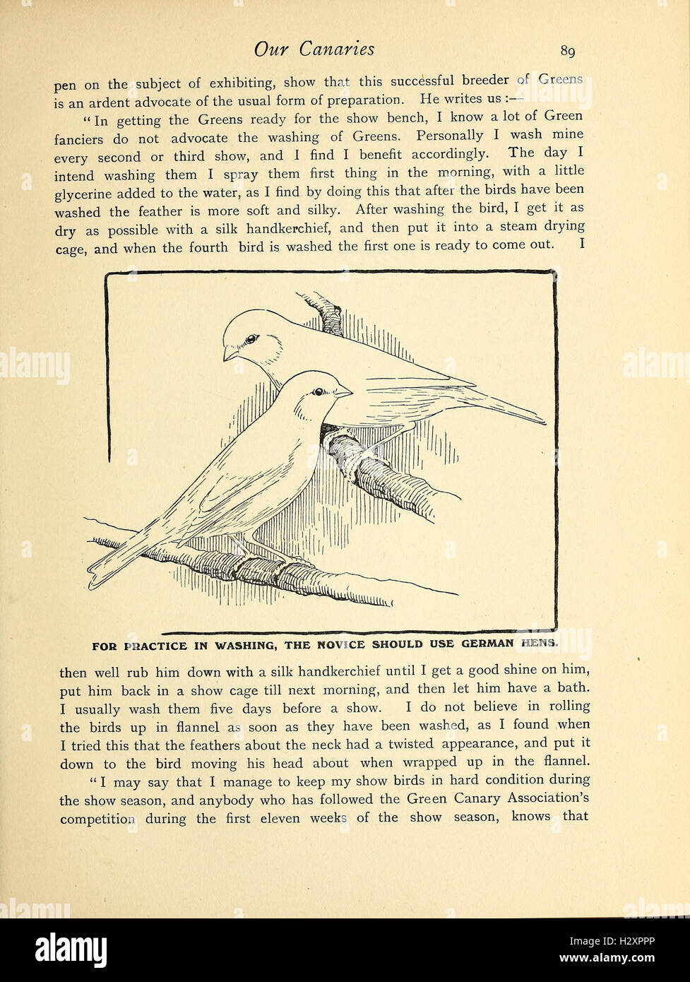 This work focuses on the breeding, care, and characteristics of ...