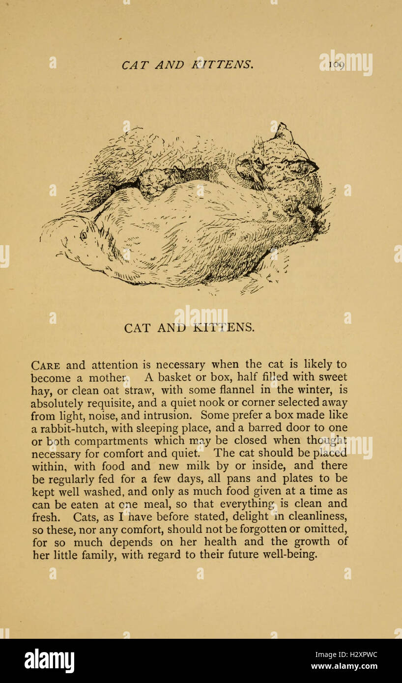 A detailed guide on cats, covering their biology, behavior, and ...