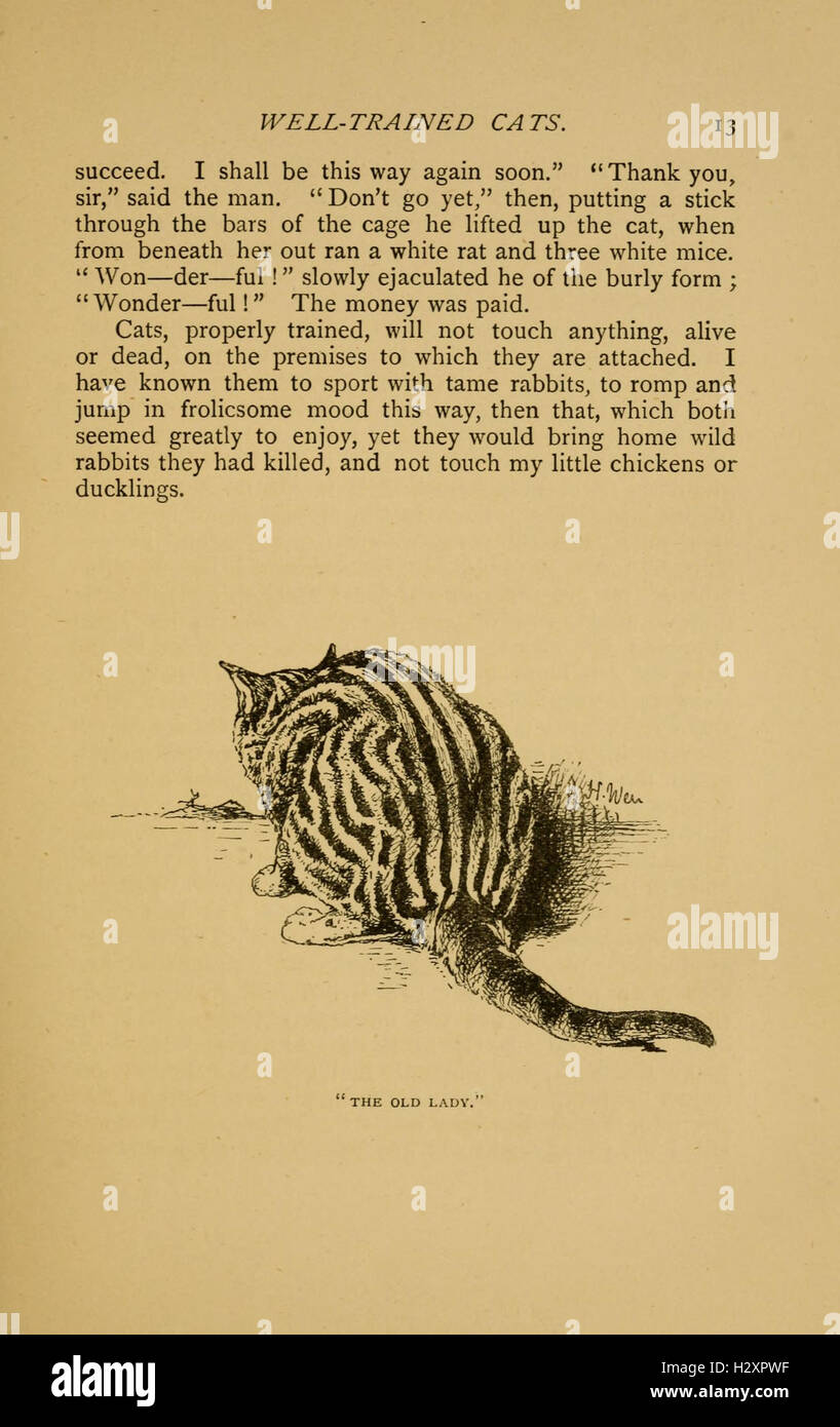 This work provides a comprehensive overview of domestic cats, covering ...