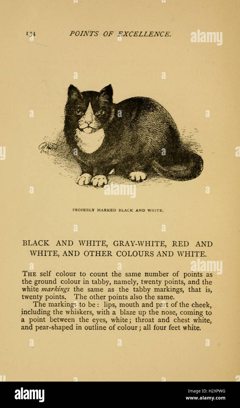 This book provides a comprehensive guide to cats, covering their ...