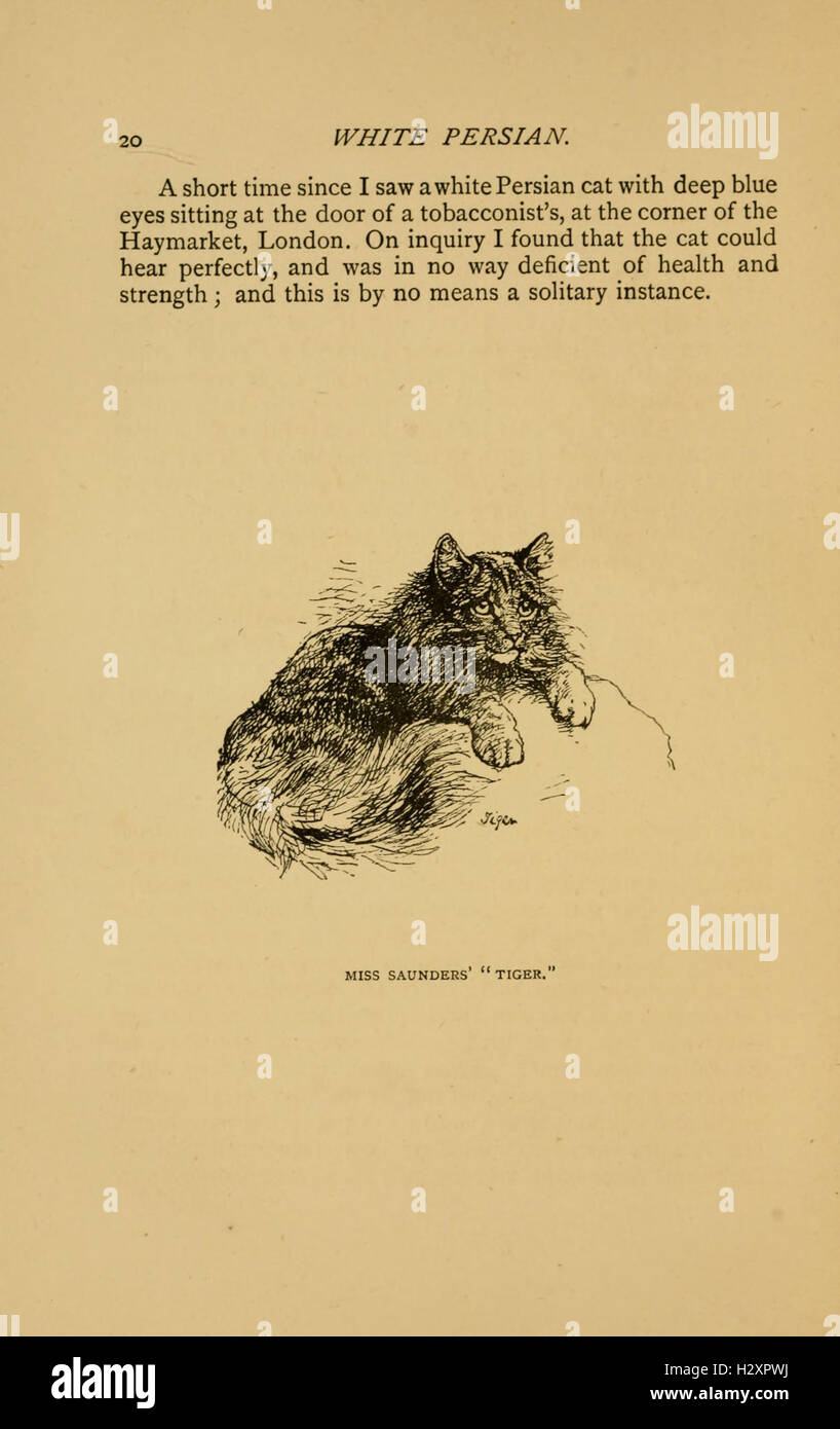 This page from 'Our Cats and All About Them' offers a comprehensive ...