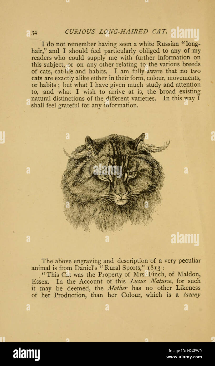 This title discusses various aspects of domestic cats, covering their ...