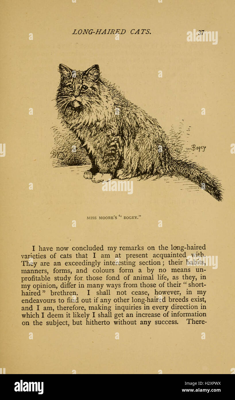 Page 37 of 'Our Cats and All About Them' provides insights into the ...