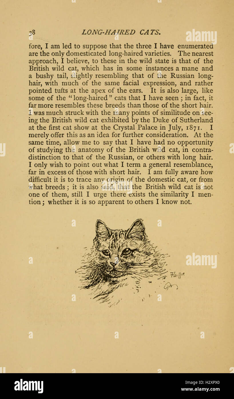 This book provides an in-depth look at domestic cats, covering their ...