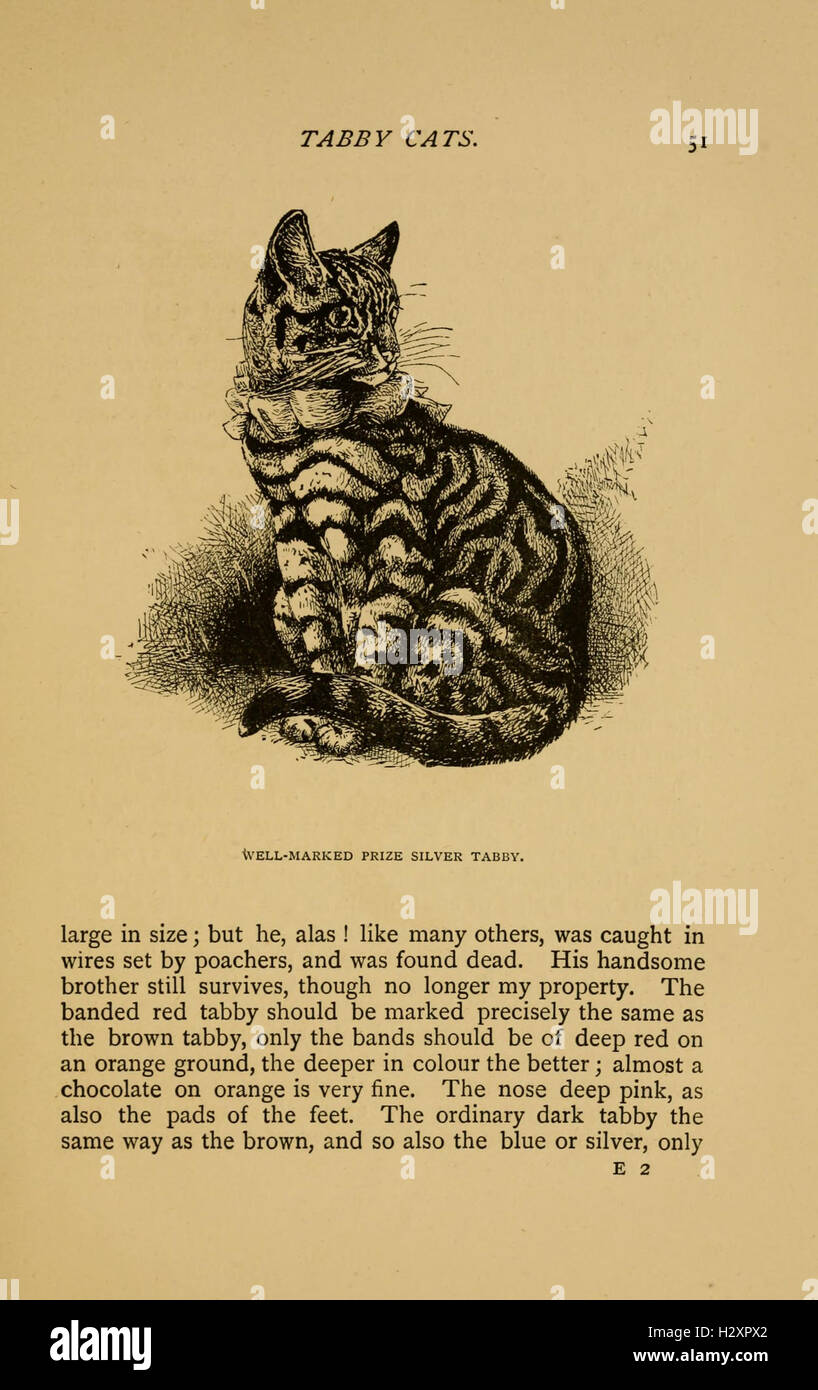 This page provides detailed information about domestic cats, focusing ...