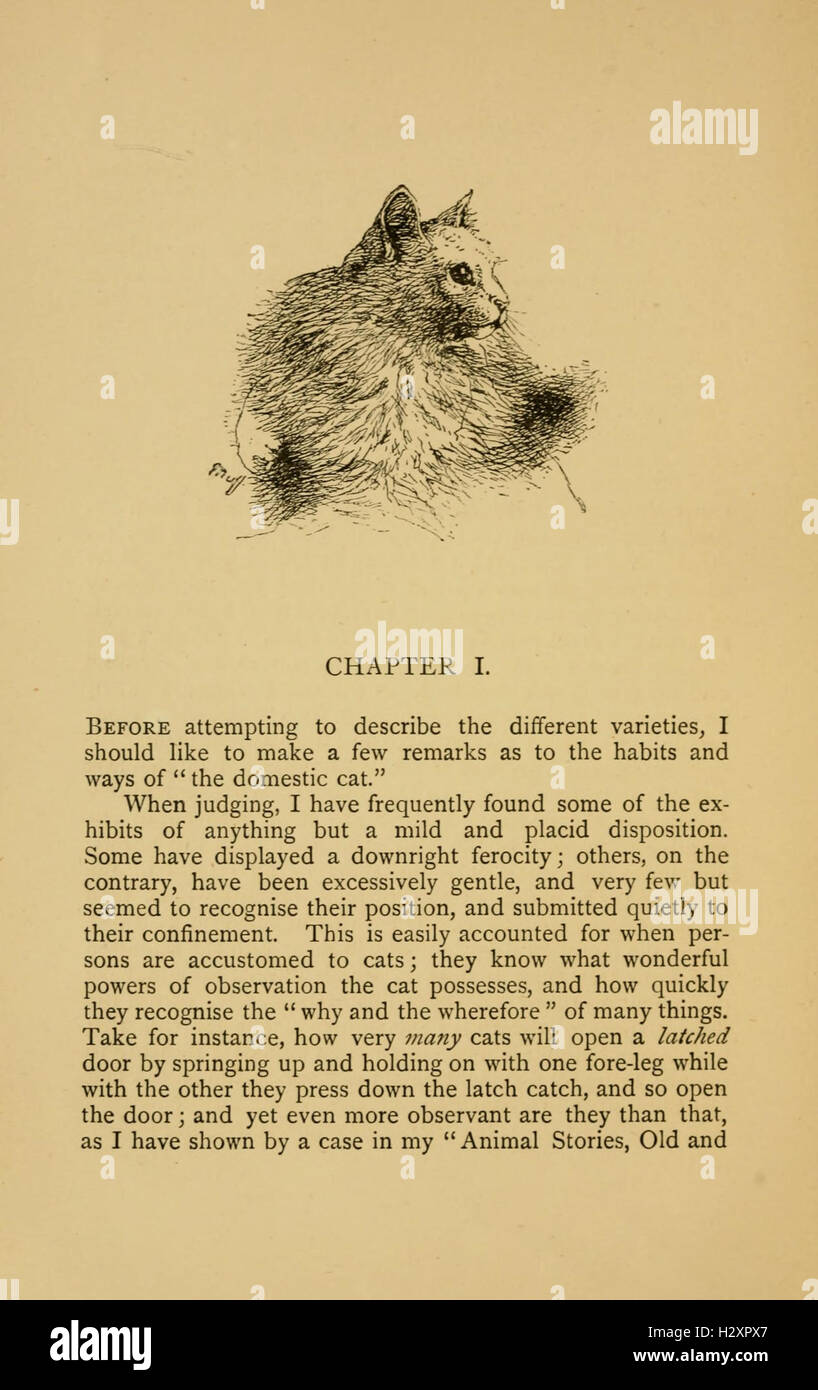 This book explores various aspects of domestic cats, including their ...