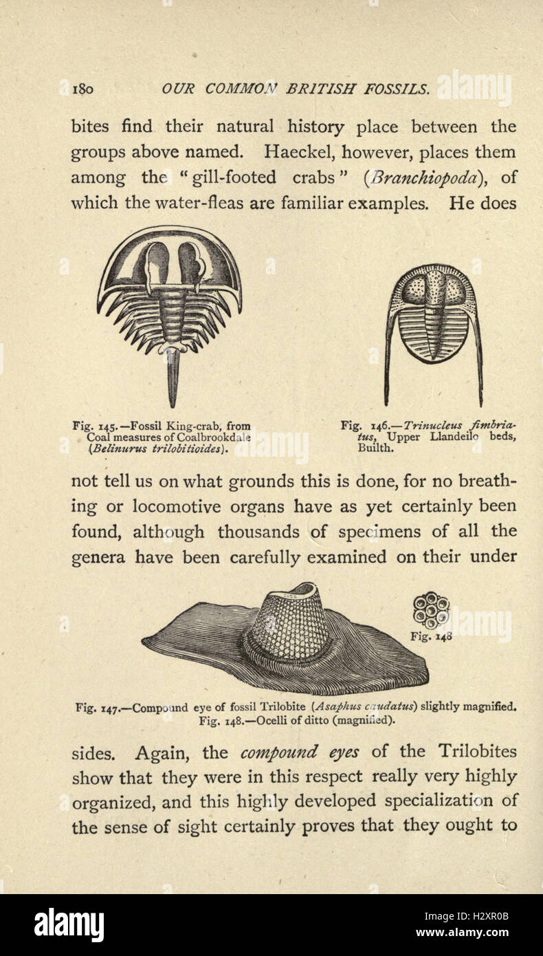 This book provides an introduction to common British fossils and their ...