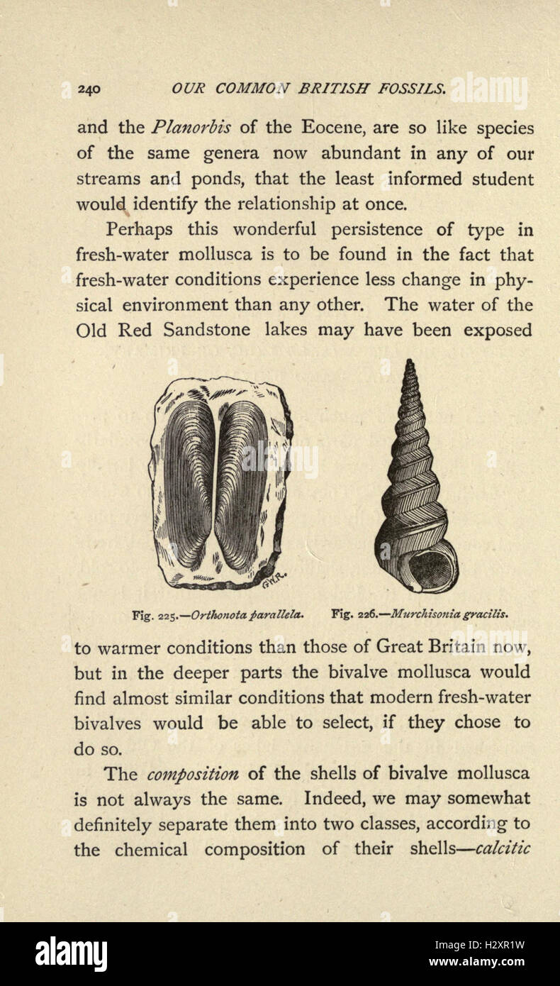 This work provides an in-depth guide to common British fossils ...